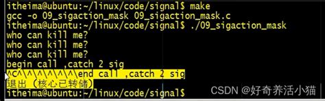 Linux系统信号07信号的概念，阻塞信号集未决信号集信号的产生，raise和abort，alarm发送信号，setitime使用