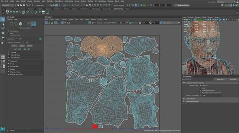 Maya Maya Lt 2017 Update 3 Uv Editor Improvements Part 1 Gamedev Blog Area By Autodesk