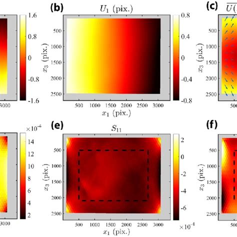 Longitudinal A And Transverse Displacement Fields B Measured Using Download Scientific