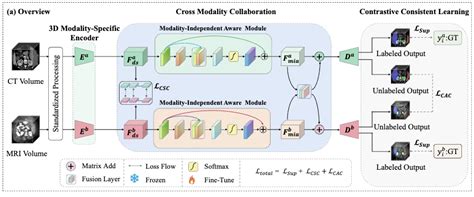 一文解锁多模态医学图像处理的10种创新思路 哔哩哔哩