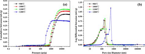 Effect Of Sintering Temperature On The Pore Structure Of Porous Download Scientific Diagram