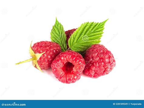 Raspberry Isolated Raspberries With Leaf Isolate Stock Image Image Of Dessert Isol 228189549