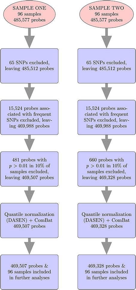 450k Methylation Array Data Analysis Pipeline Download Scientific Diagram