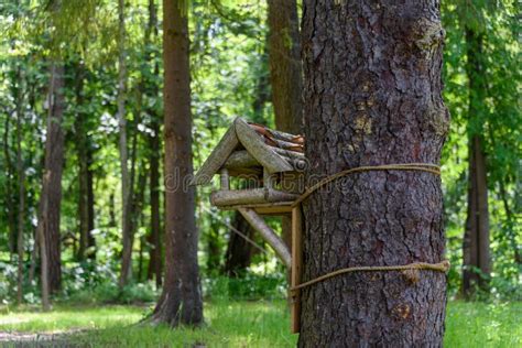 Close Up Of A Bird Feeder Tied To A Tree Trunk Stock Photo Image Of Craft Wildlife 323135832