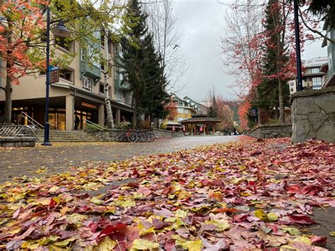 Opinion What Lurks Beneath Pique Newsmagazine