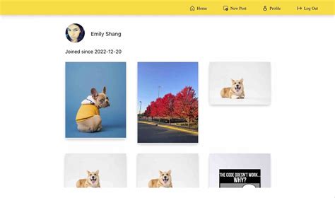 GitHub Lizyn SnapHub Instagram Like Social Network Platform Built With The MERN Stack This