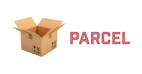 Serve Static Files During Development With Parcel