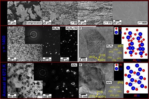 microstructures of samples a sem micrographs after compression and