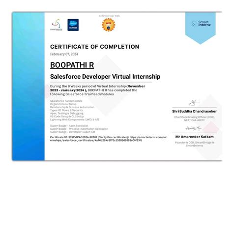 Salesforcecertification Salesforcedeveloper Internshipjourney Boopathi R