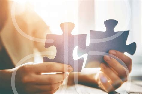 Net Developer Contract Pta003361cb Pillangó Placements