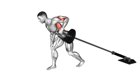 Barbell One Arm Bent Over Row Ultimate Video Guide And Tips