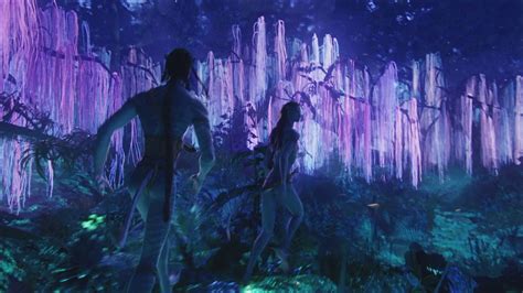 Avatar Forest Wallpapers Wallpaper Cave