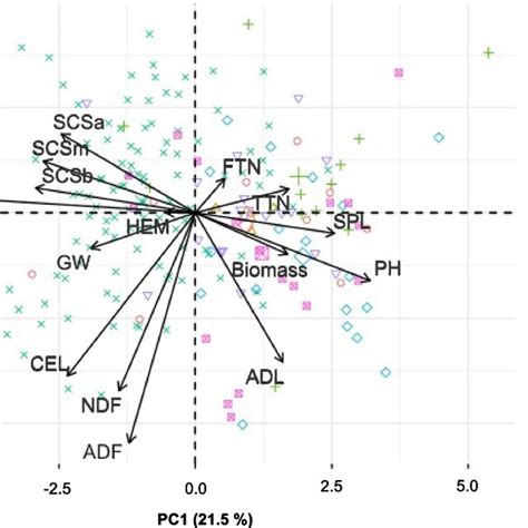 Snp Density Plot Showing The Number Of Snps Within 1 Mb Window Size