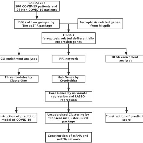 The Mirna Mrna Network Red Rectangle Represents The Mrna Of 4 Download Scientific Diagram