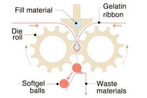 Web Guides For Softgel Capsule Machines Tim Oxtoby Motion Control