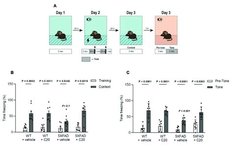 C20 Improves Impairment Of Fear Conditioning In 6 Month Old 5xfad Mice