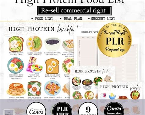 Carnivore Diet Grocery List High Protein Carnivore Diet List Low Carb