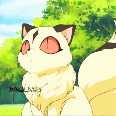 Kirara Artofit