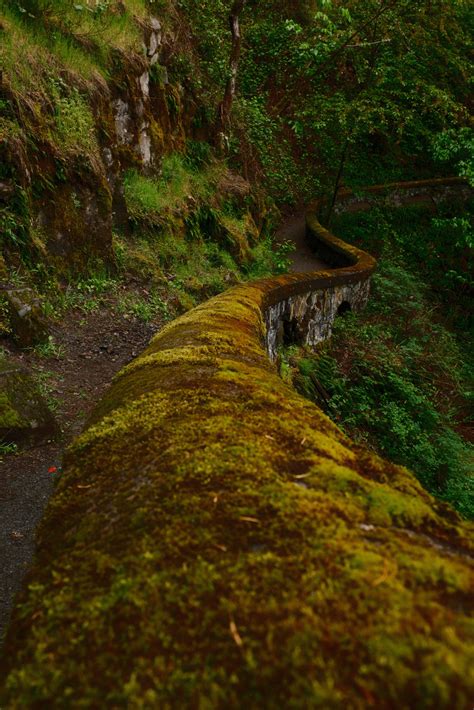 Winding Path Caylas Adventures And Photography