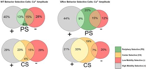 Forebrain Glucocorticoid Receptor Overexpression Alters Behavioral