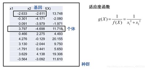数学建模 遗传算法遗传算法目标函数构建 Csdn博客 数学建模 遗传算法遗传算法目标函数构建 Csdn博客
