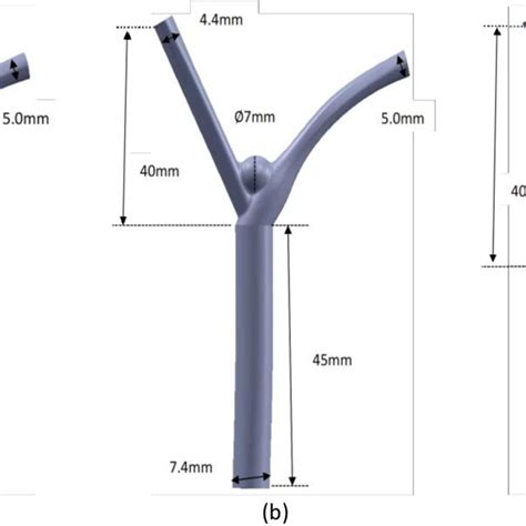 A Simplified Model Of Cca B Simplified Model Of Cca With Saccular Download Scientific Diagram