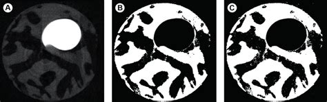 A Original Image In Grayscale Binary Image Obtained By Visual