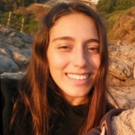 Camila Mehech University Of Chile Santiago Departamento De Ingeniería Y Suelos Research