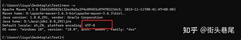 Maven打包后运行中文乱码 知乎