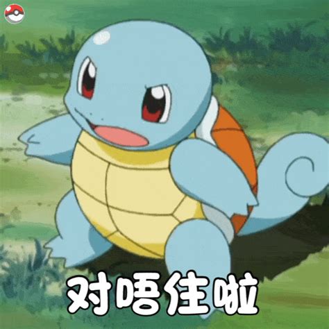 杰尼龟动态表情包gif 杰尼龟动态表情包 伤感说说吧