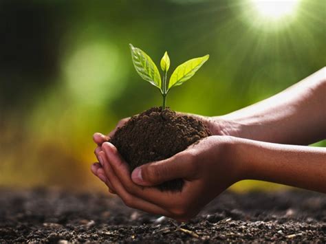 “Эрдэнэт үйлдвэр” 1700 гаруй га талбайд техникийн нөхөн сэргээлт хийжээ Isee Mn