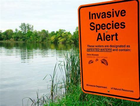 How Do Humans Contribute To Extinction Endangered Animals