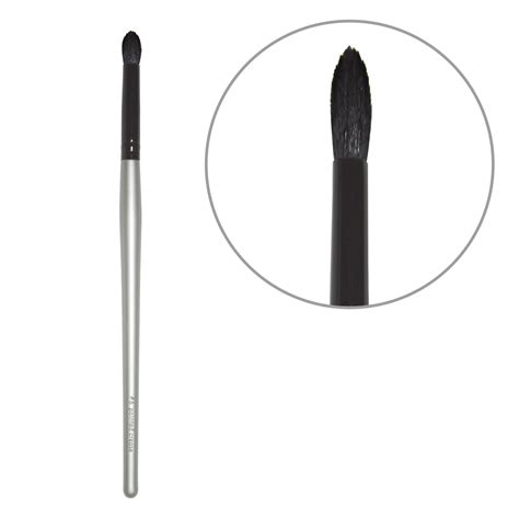 Pointed Makeup Brush Use Saubhaya Makeup