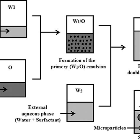 Procedure For Preparation Of Solid Microparticles By Double Emulsion