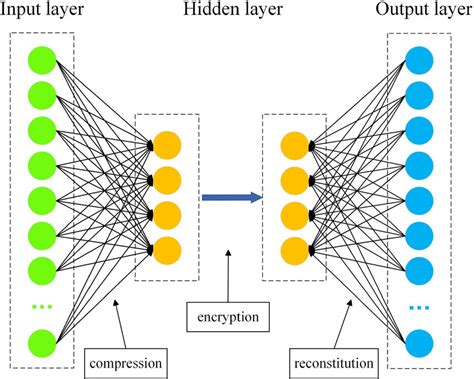 Bp Neural Network Compression Download Scientific Diagram