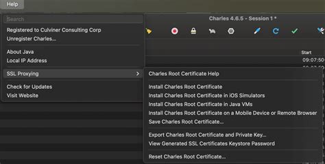 How To Correctly Setup Charles Proxy For The Ios Simulator