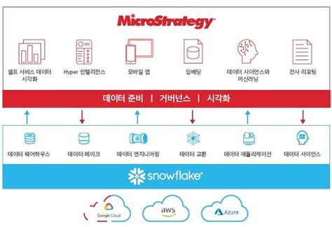 Mstr코리아 스노우플레이크 ‘데이터 클라우드 월드 투어 참여 Bi Korea