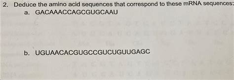 Solved Deduce The Amino Acid Sequences That Correspond To
