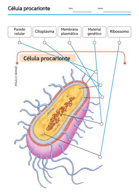 Fórmula Geo Atividade Célula Procarionte