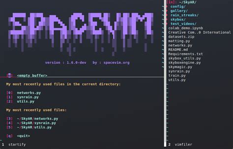 Spacevim Continuous Delivery And Analytics