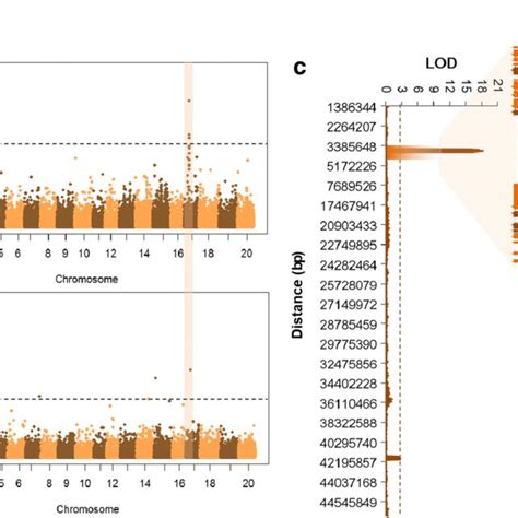 Gwas And Qtl Mapping Results A Manhattan Plot Of Association Mapping Download Scientific