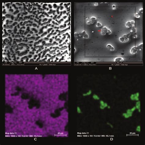 A Low Fusing Porcelain Glaze Film Distribution On Zirconia Surface At Download Scientific