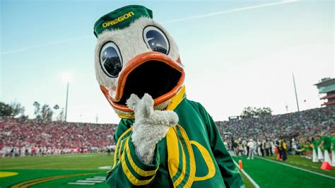 Oregon Football News Duck Hilariously Loses His Head In Mascotting Mishap