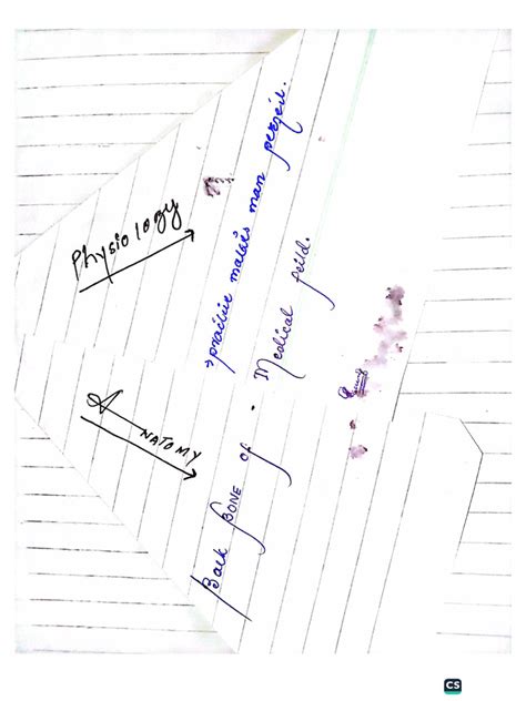 Physio Ana Notes Pdf