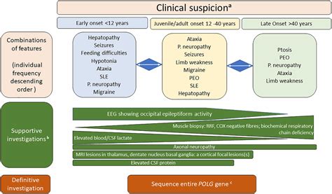 Polg Disease Polg Gene Signs Symptoms Diagnosis Treatment And Prognosis