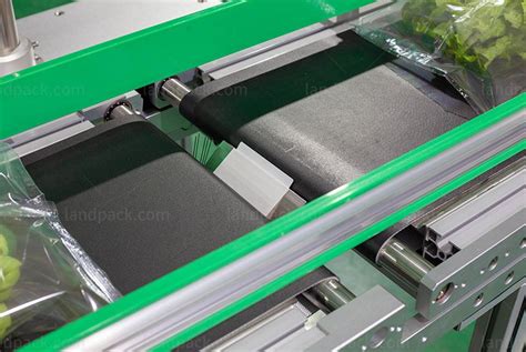 Automatic Vegetable Packing Machine Vegetable Wrapping Machine With