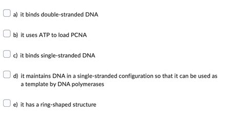 Rpa Is An Important Protein Used During Dna