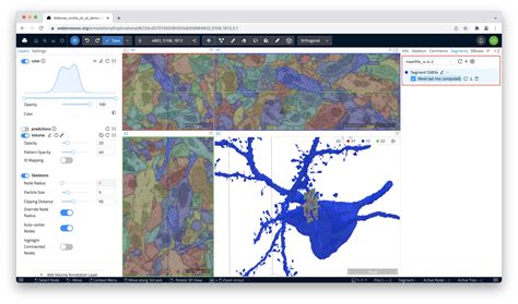 Working With Meshes Webknossos Documentation
