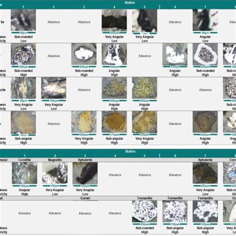 Morphology Characteristics Roundness And Sphericity Of Ore Mineral Grain Download Scientific