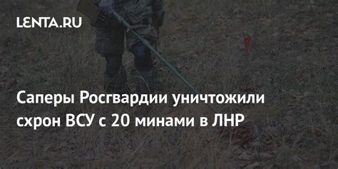 Саперы Росгвардии уничтожили схрон ВСУ с 20 минами в ЛНР Следствие и суд Силовые структуры